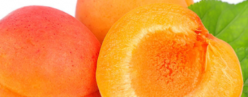 FHM Digital Showroom